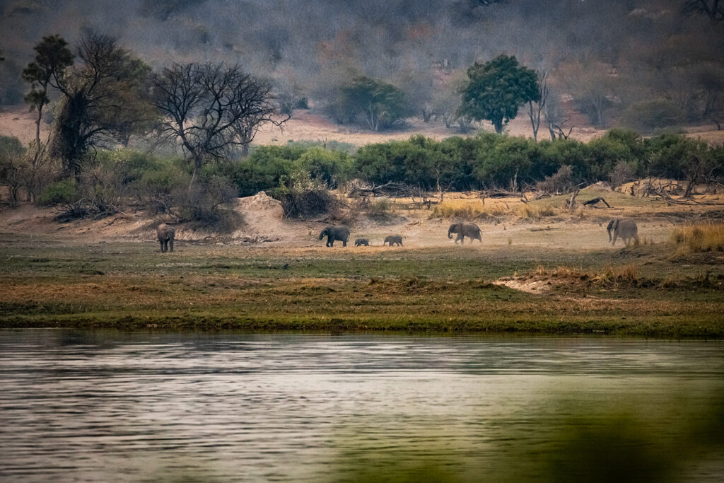 Caprivi-Streifen – Namibias wilde Seite: Highlights und Reisetipps