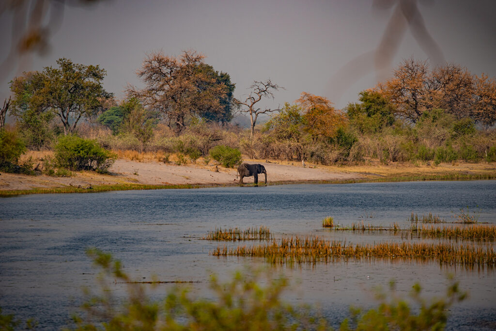 Namibia – Highlights und Sehenswürdigkeiten für deine Rundreise