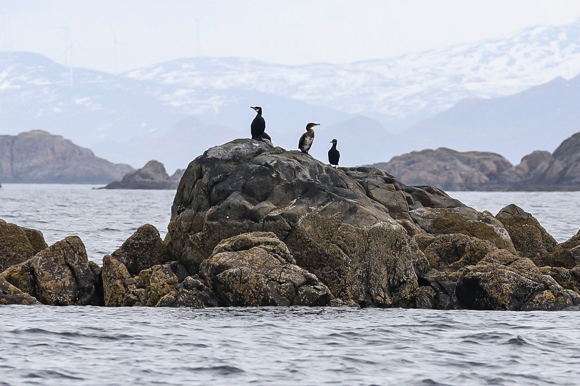 Unterkunftstipps für deinen Roadtrip durch Nordnorwegen